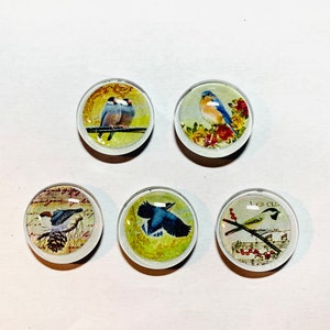 Bird Magnet Set, Bird Magnet, Handmade Bird Magnets Set of 5, Bird Gift ...