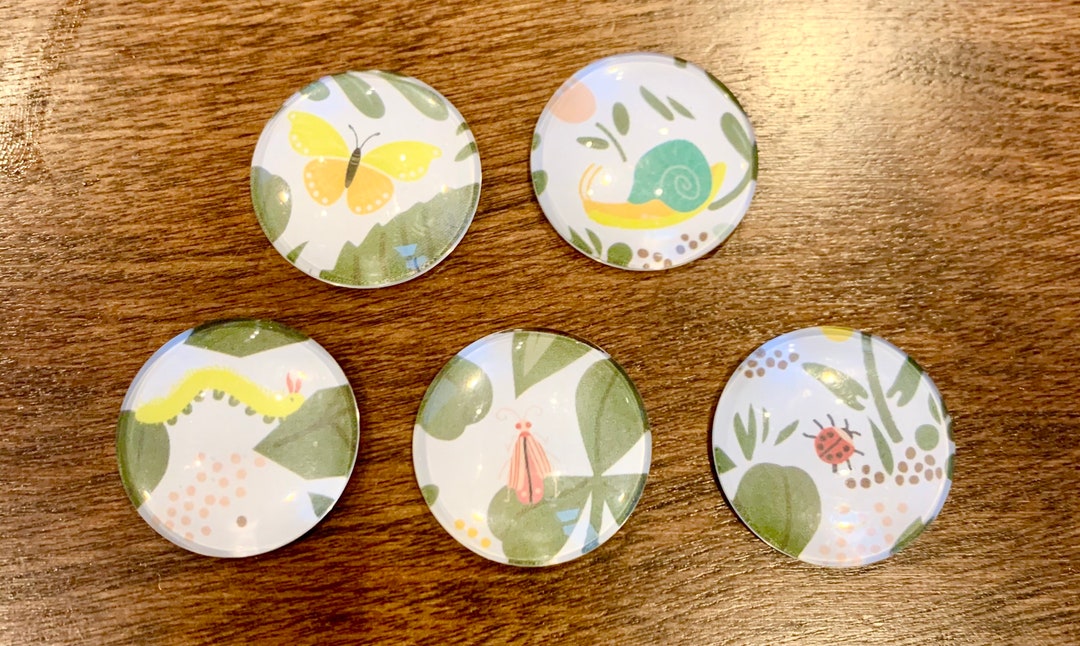 Glass Insect Bug Magnets, Insect Magnet Set, Glass Magnets, Bug Magnet ...