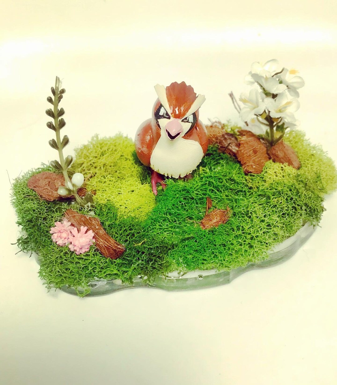 Pidgey Pokémon Terrarium, Desk Display Shelf Decoration POKEMON GIFT ...