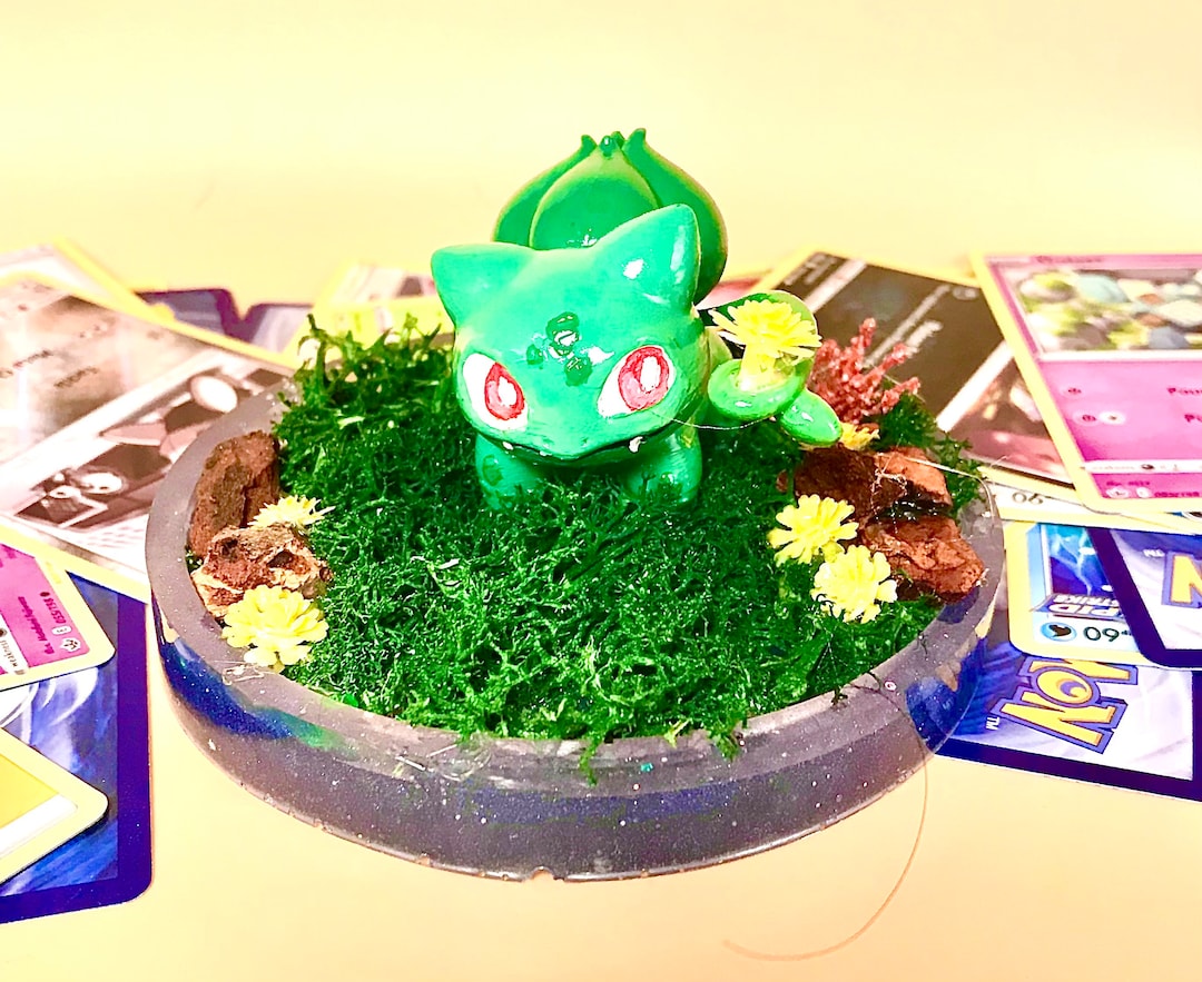 Bulbasaur Pokemon Terrarium/diorama made to Order - Etsy