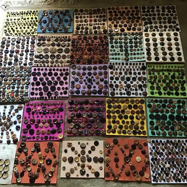 Antique Vegetable Ivory Buttons - Etsy