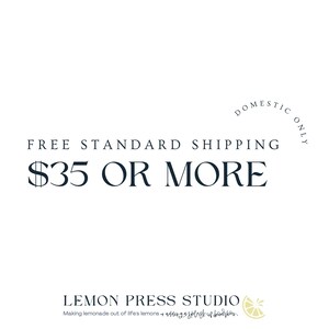 Monstera Adansonii Sticker, Swiss Cheese Plant Sticker, Clear Monstera ...