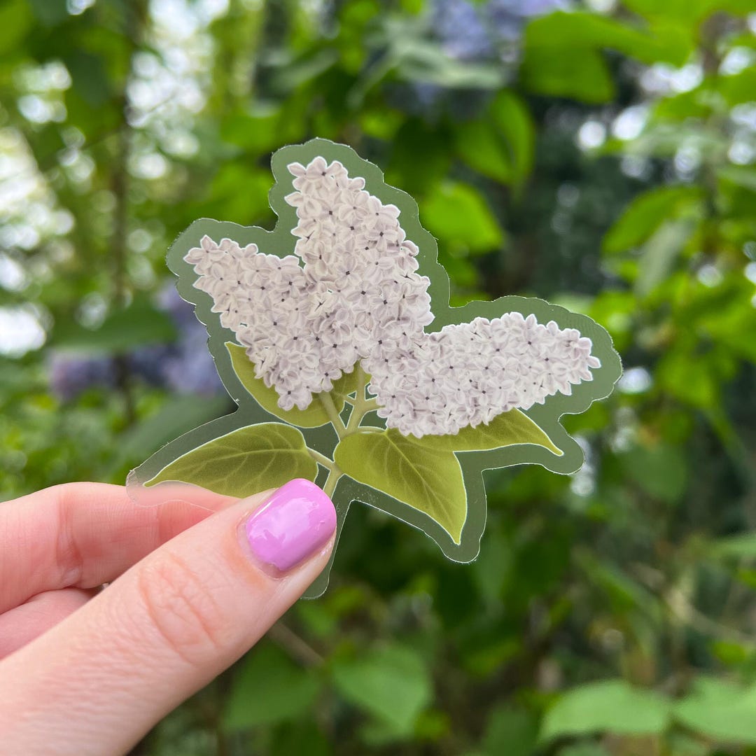 Lilac Sticker for Laptop, Lilac Flower Sticker for Water Bottle ...
