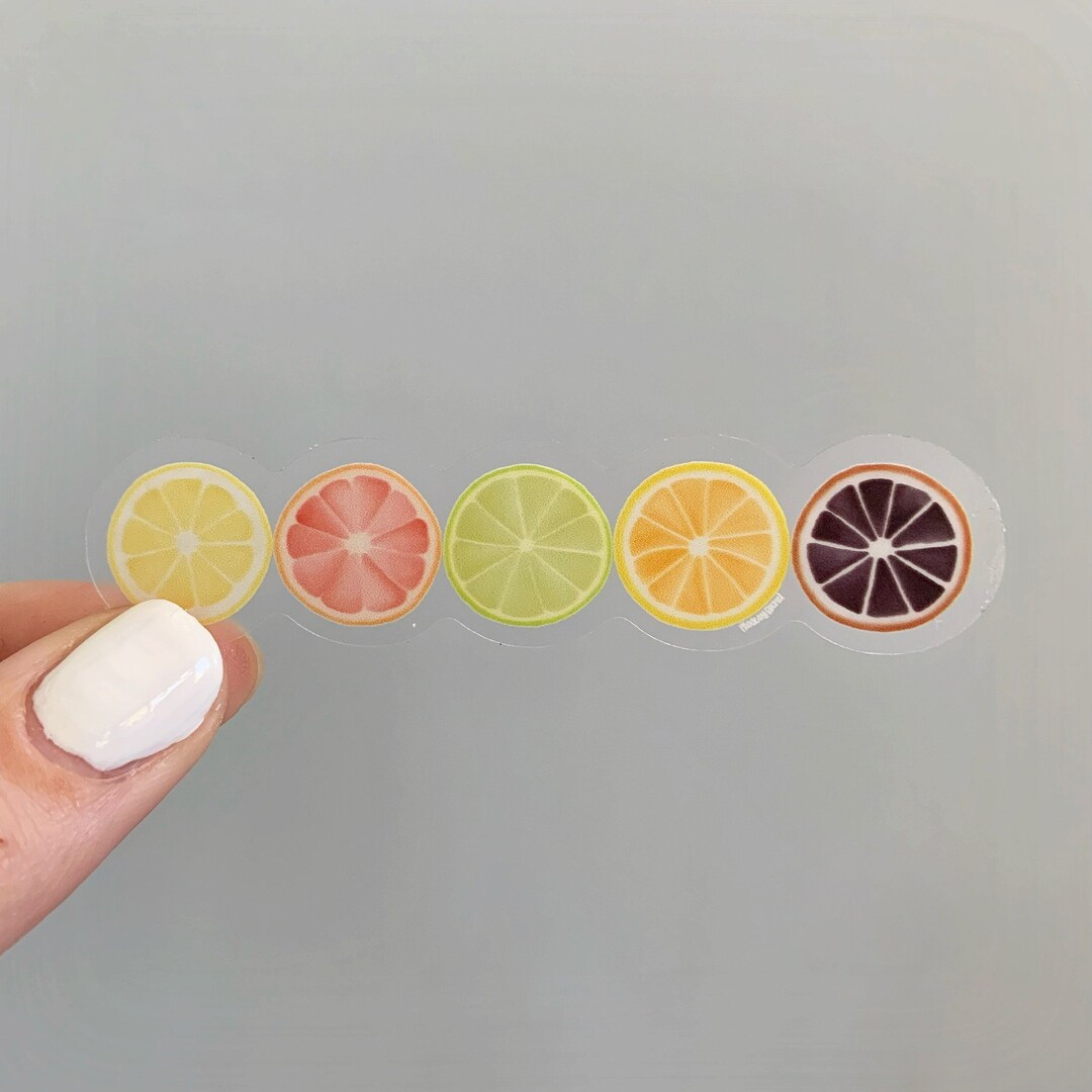 Small Citrus Sticker, Transparent Citrus Slice Mini Sticker, Citrus ...