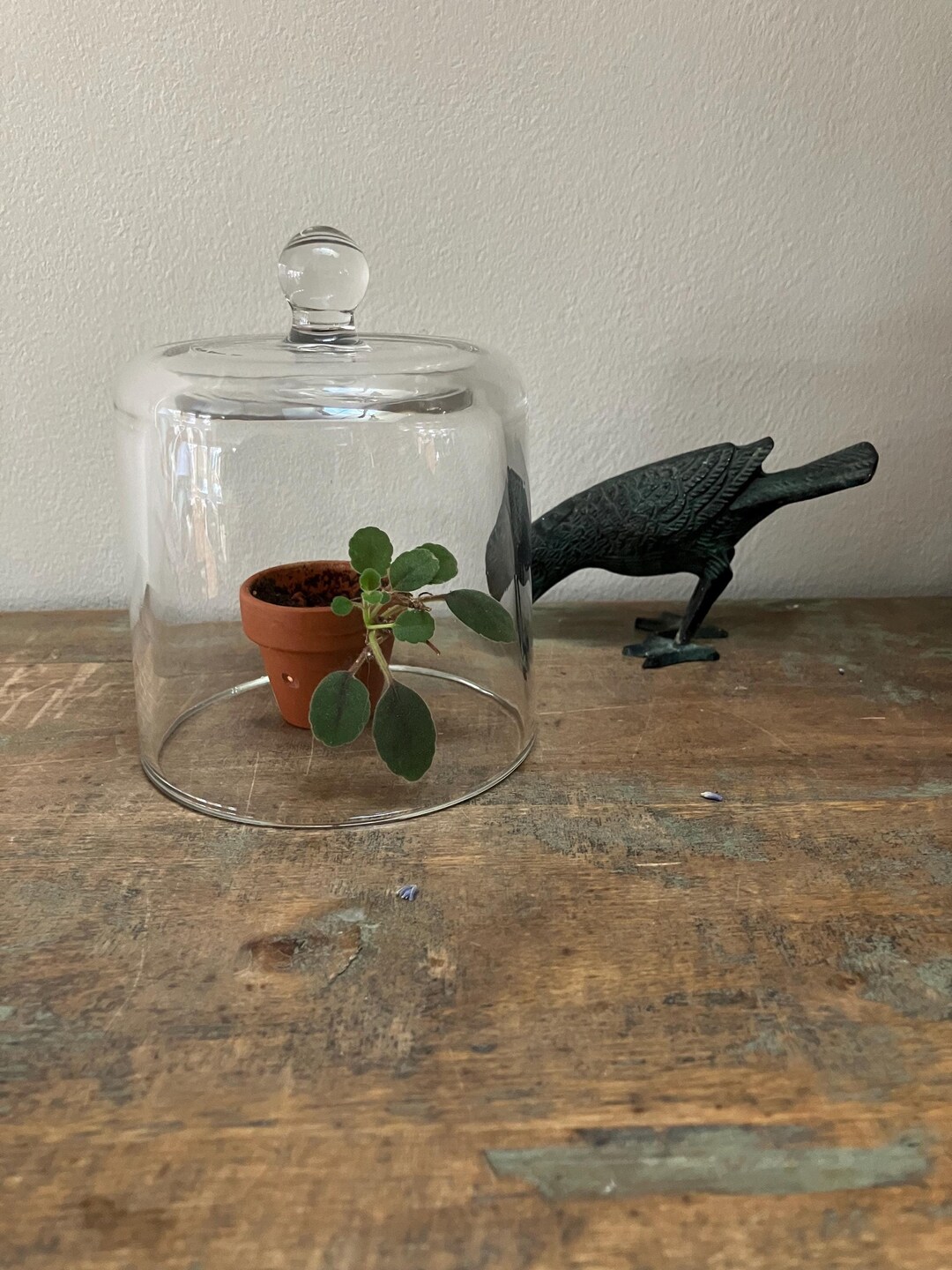 Vintage Glass Cloche Small Glass Dome Clear Glass Dome With Knob Handle ...