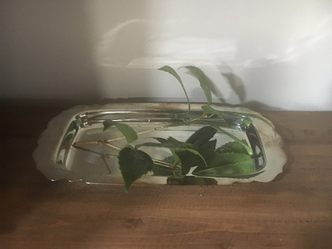 Vintage Silver Tray | Scalloped Edge Silver Plate Tray | Rectangular ...