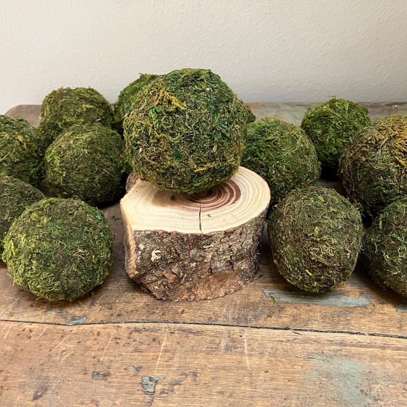 Preserved Moss - Etsy