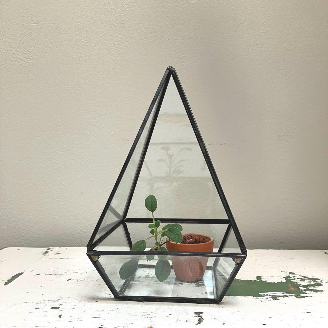 Geometric Glass Terrarium | Small Glass Terrarium With Plastic Liner ...