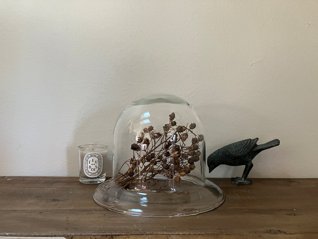 Glass Dome Small Glass Cloche Glass Display Dome Seasonal Display Dome Small Gardening Under