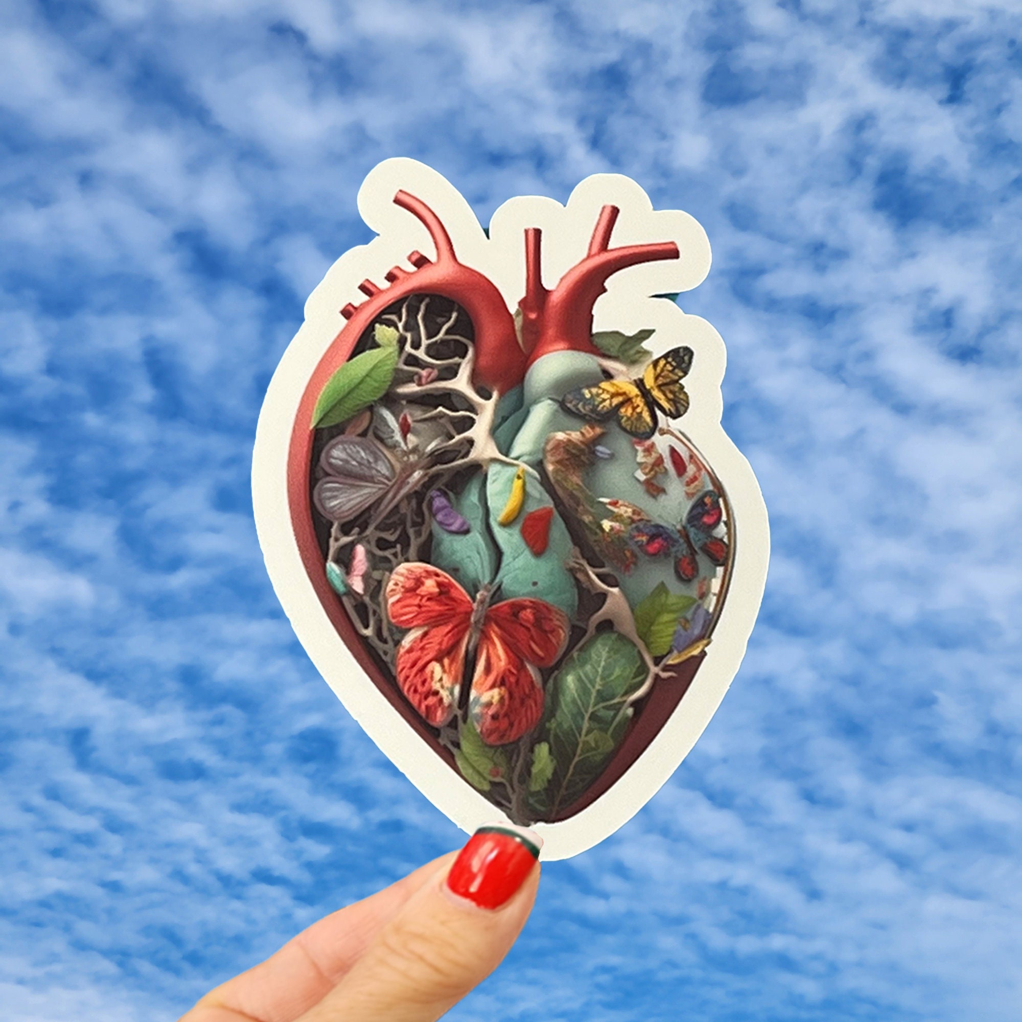 Butterfly Heart Human Heart Sticker Anatomical Heart - Etsy
