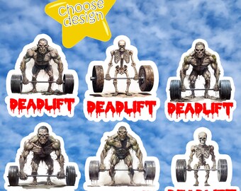 Lifting Era Gym Sticker, Gym Stickers for Water Bottle, in My Lift Era ...