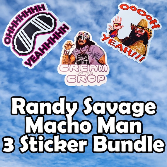 Macho Man Randy Savage Meme Oh Yeah