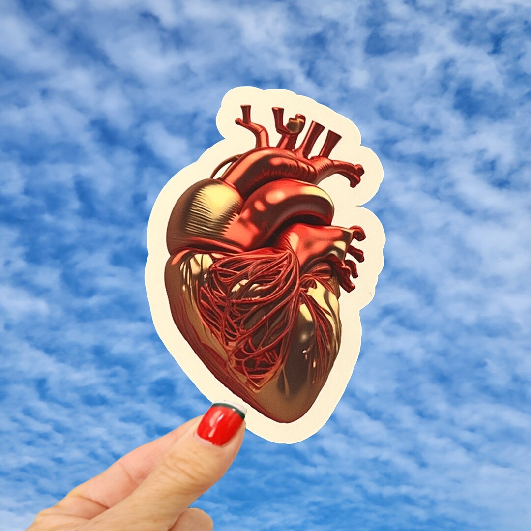 Human Heart Sticker, Anatomical Heart Sticker, Nurse and Doctor Sticker ...