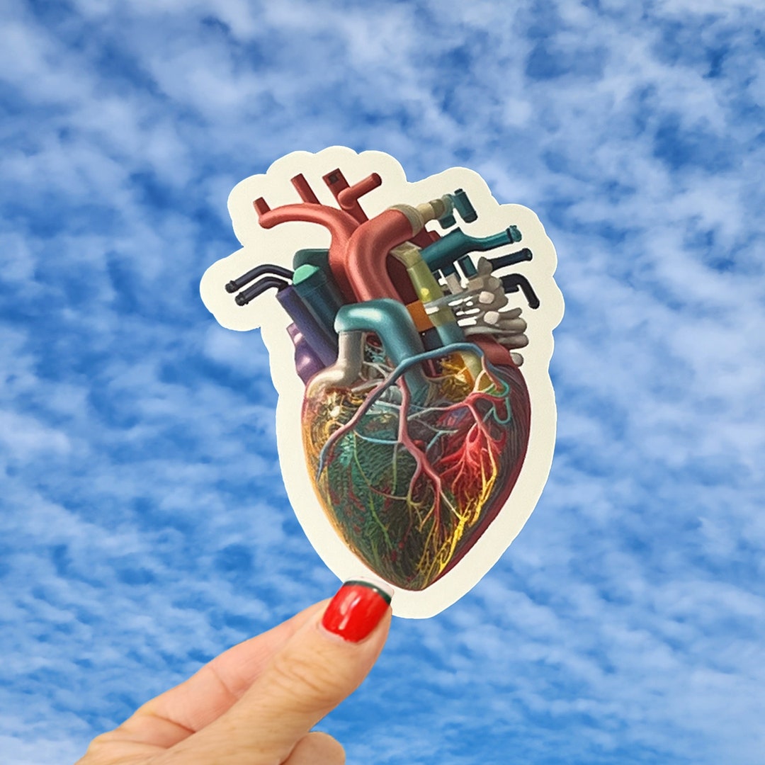 Human Heart Sticker, Anatomical Heart Sticker, Nurse and Doctor Sticker ...