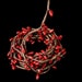 Garland - Pip Berry Single Strand / String Garland 6 Feet / 72 ...