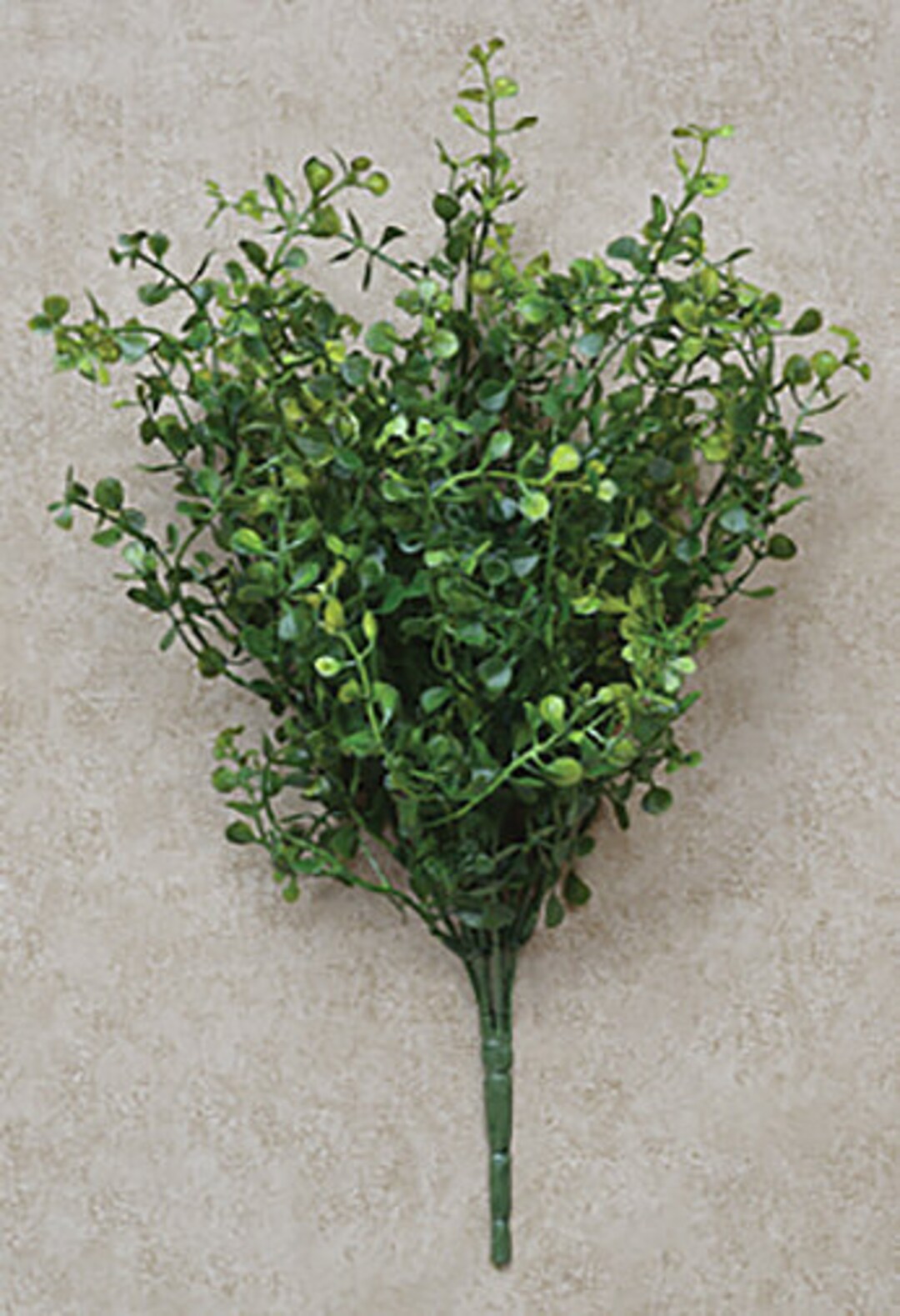 Floral Pick / Spray / Bush - Peppergrass in Medium Green - 14" High ...