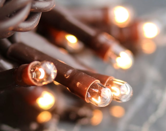 20 Count Light String / Strand / Set Brown Cord Clear Teeny Rice Light ...