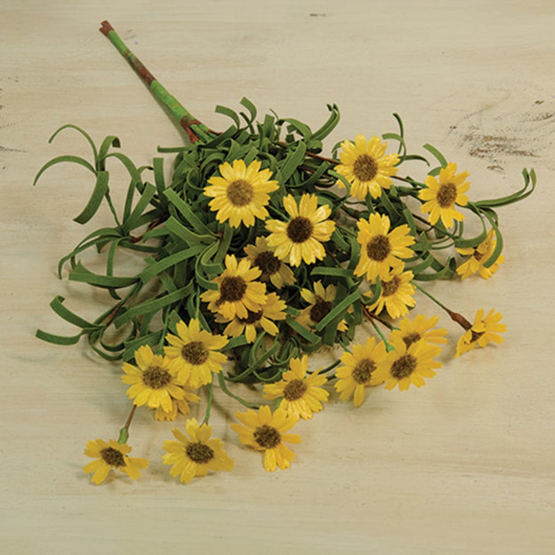Mini Mountain Daisy Bush / Spray in Yellow -18" High - Spring & Summer ...
