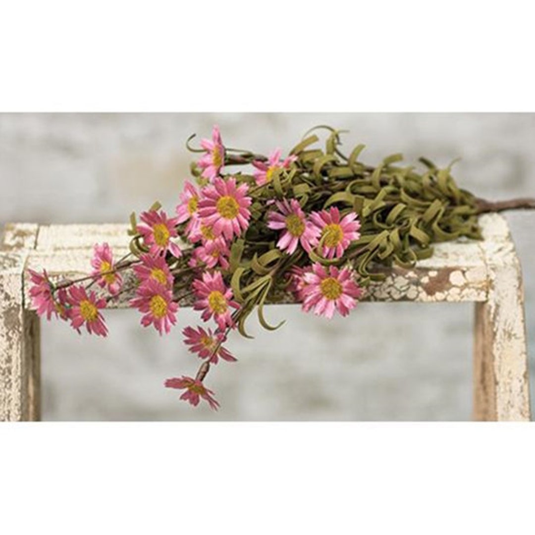 Mini Mountain Daisy Bush / Spray in Pink -18" High - Spring Summer ...