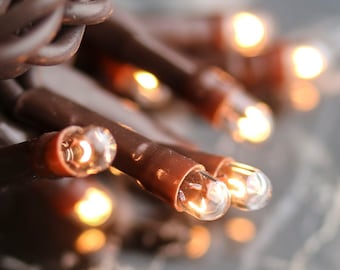 10 Count Light String / Strand / Set - Brown Cord - Clear Miniature ...