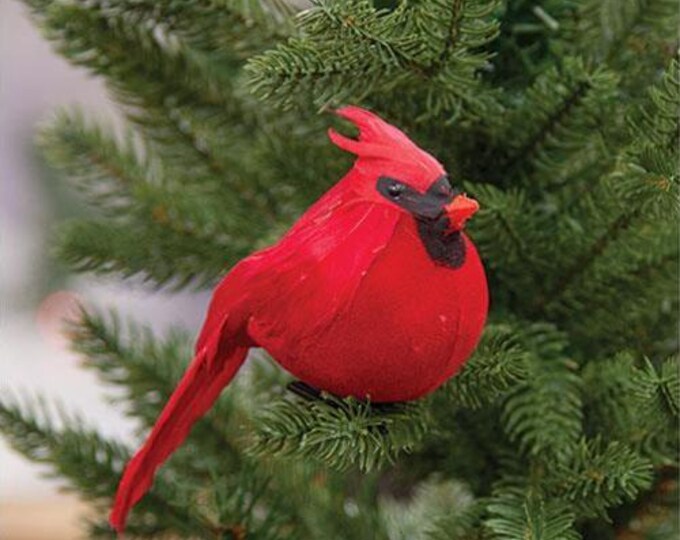 Fat Feathered Cardinal Bird Ornament - Christmas, Winter, Holiday ...