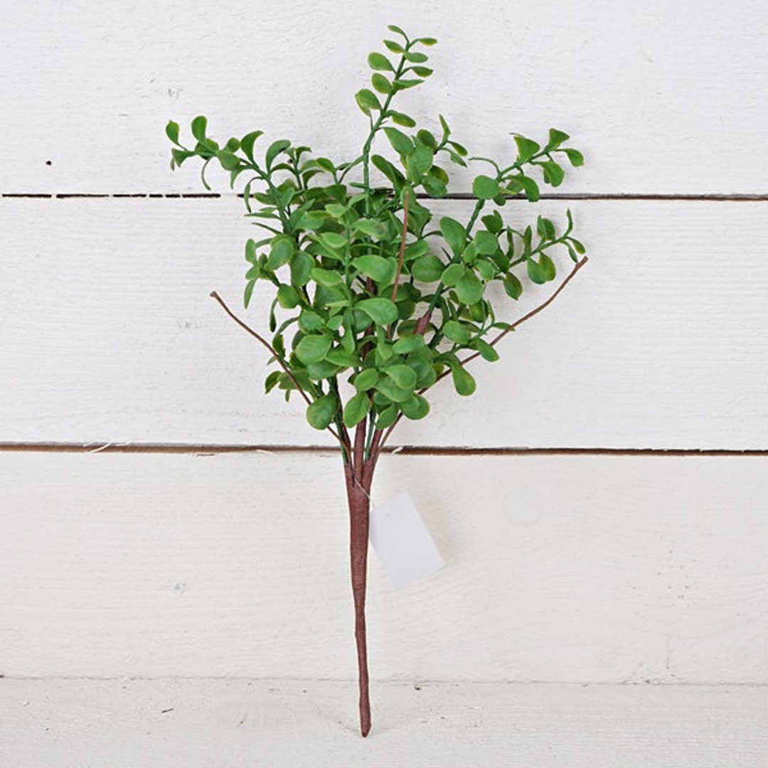 Floral Pick / Spray / Bush Evergreen Boxwood 14 High Green, Spring ...