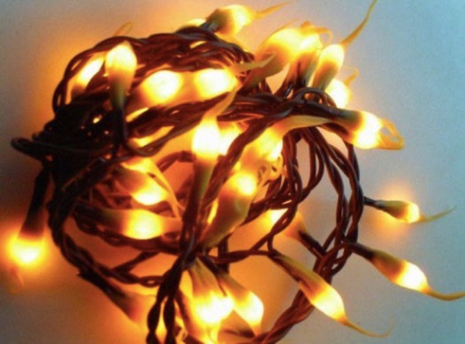 35 Count Silicone Dipped Teeny Bulbs Light String Strand Set - Brown ...