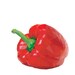 Bell Pepper Low Poly Digital Art download - Etsy