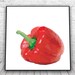 Bell Pepper - Low Poly Digital Art (download) - Etsy