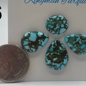 Red Matrix Polychrome Kingman Turquoise Freeform Cabochon Suites Sold ...