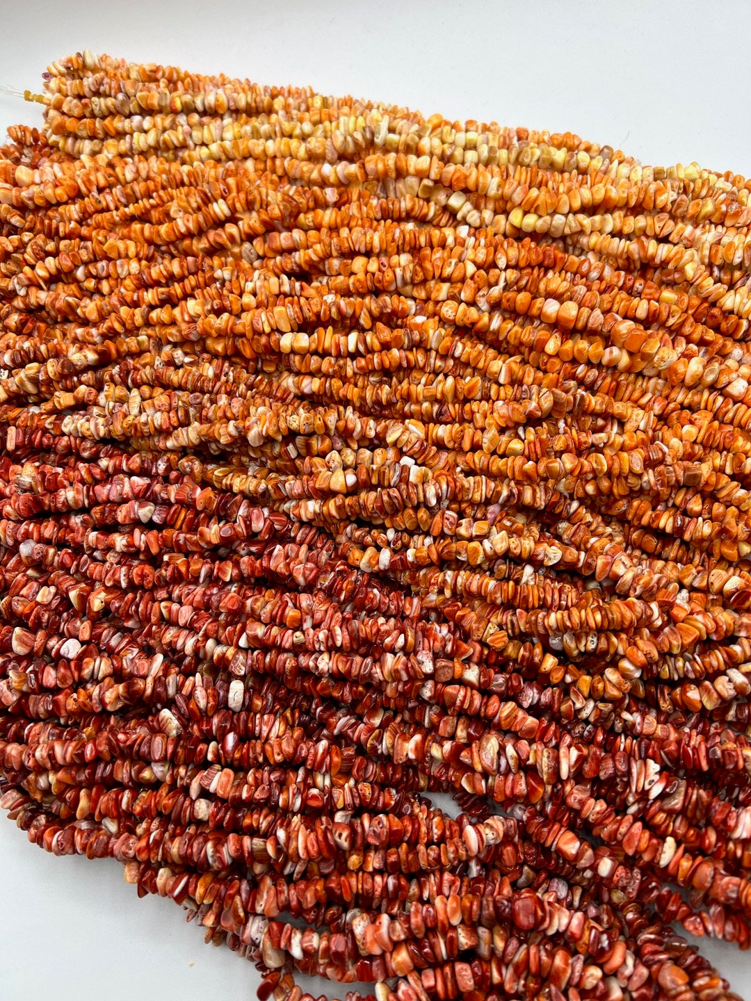 Spiny Oyster Chip Strands - 16" Strands - Sold Individually - Etsy