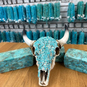 Kingman Turquoise Cow Skulls - Sold Individually - Etsy