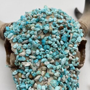 Kingman Turquoise Cow Skulls Sold Individually - Etsy