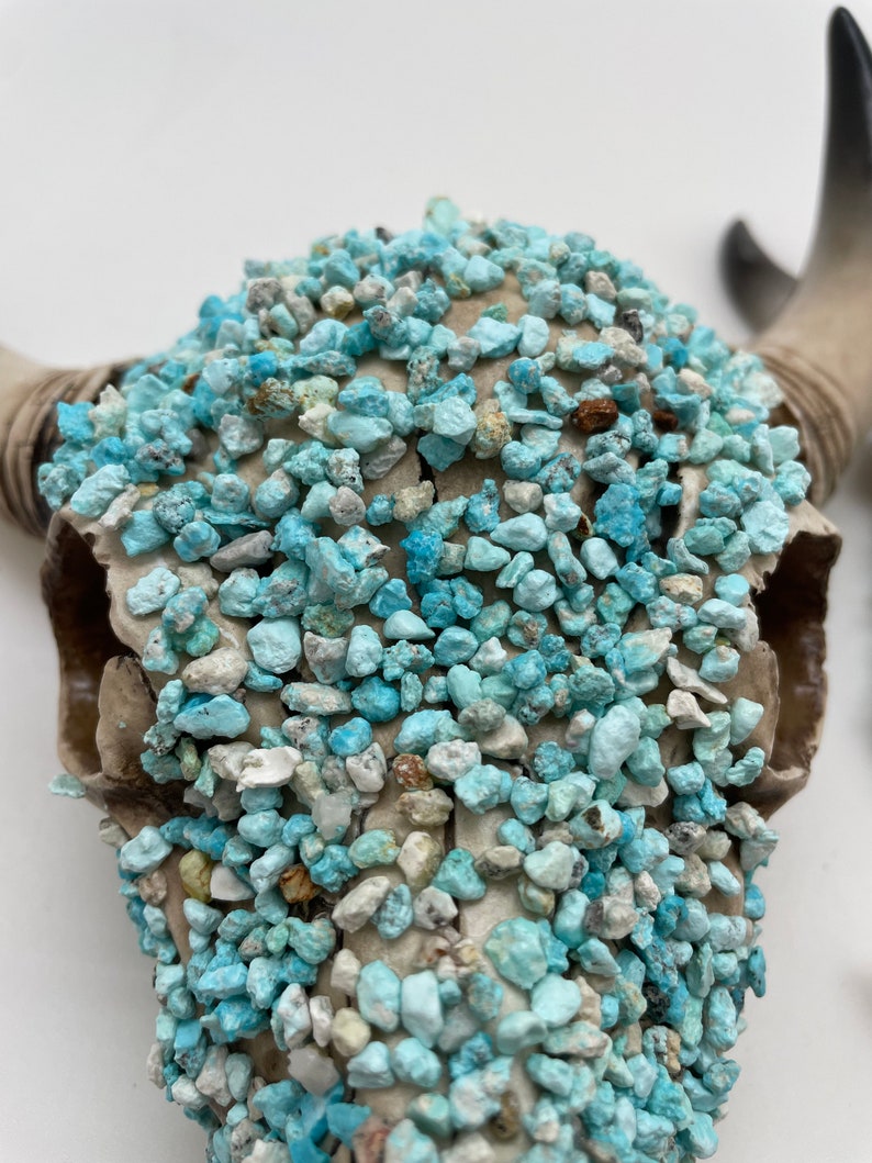 Kingman Turquoise Cow Skulls Sold Individually - Etsy