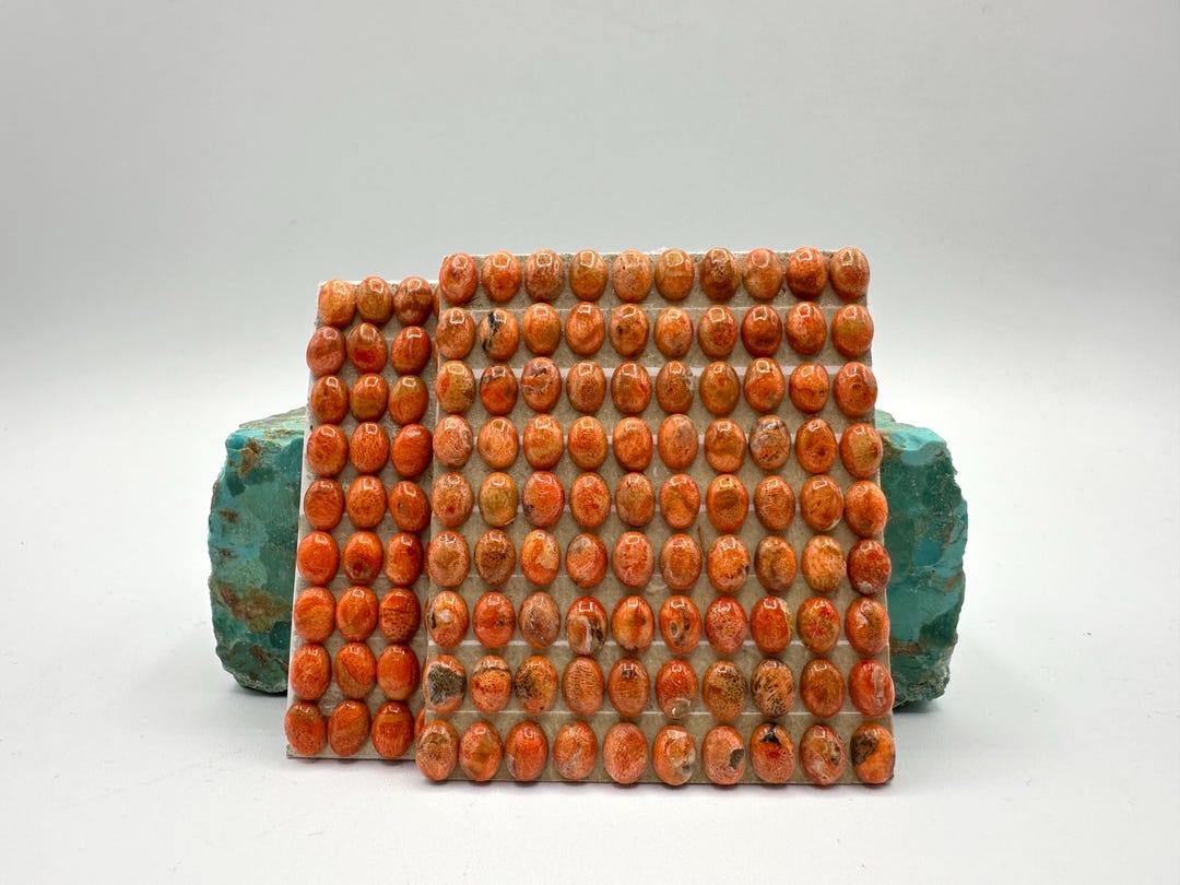 Apple Coral 6x8mm Oval Cabochons - Sold Individually - Etsy
