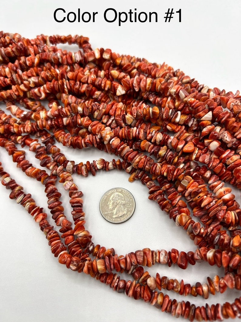 Spiny Oyster Chip Strands - 16" Strands - Sold Individually - Etsy