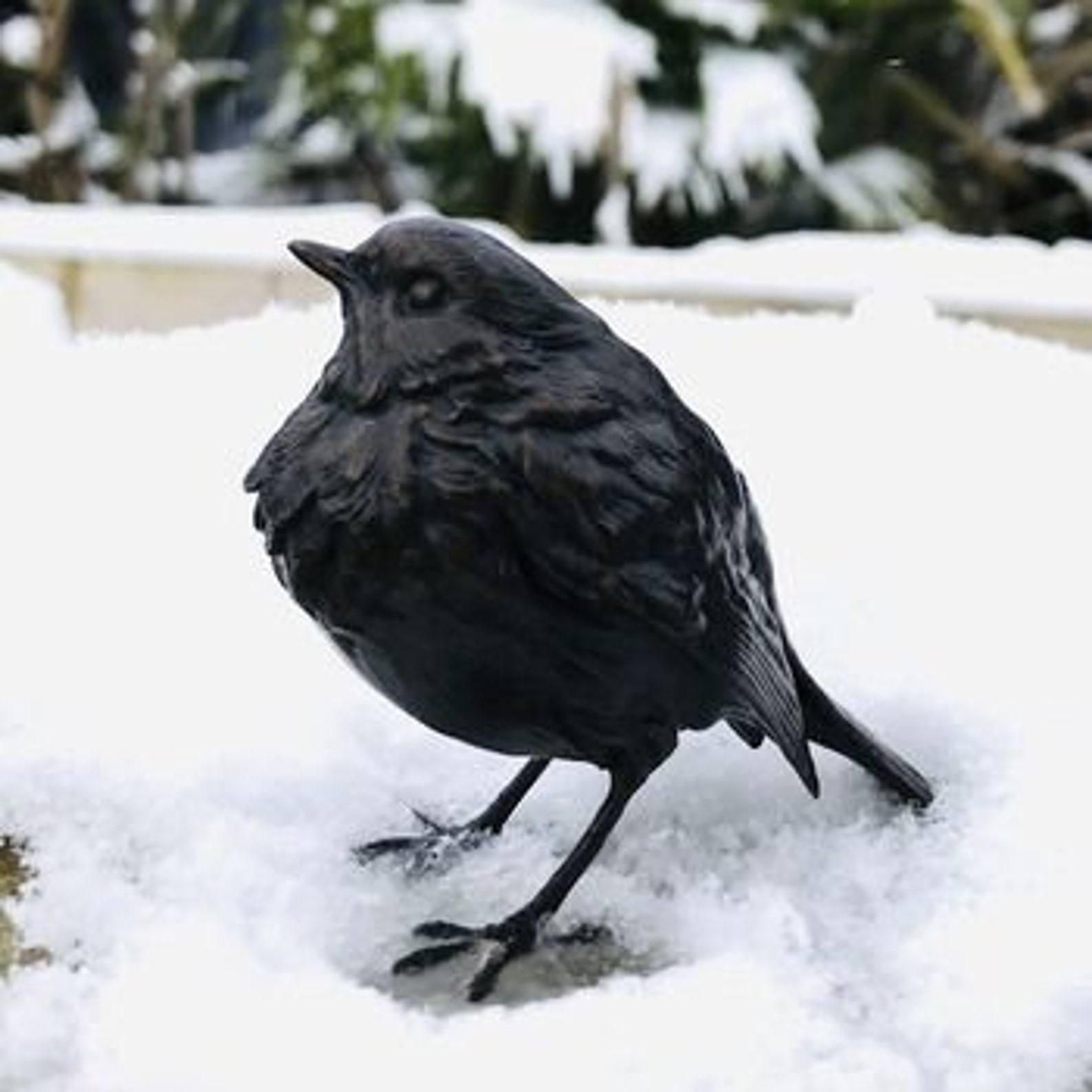 Limited Edition Bronze Robin Sculpture 8th Anniversary - Etsy UK