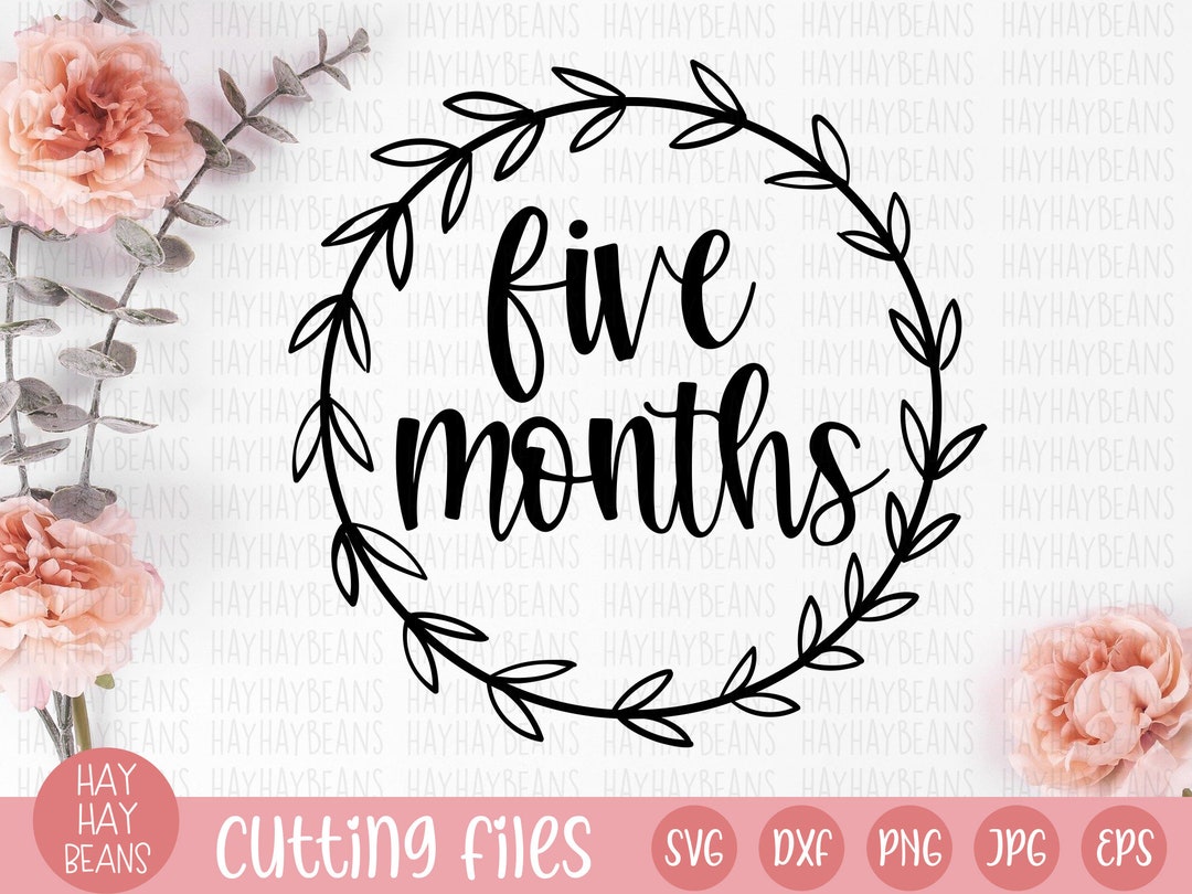 Five Months Svg | Baby Milestones Svg | Baby Svg | Fifth Month Svg ...
