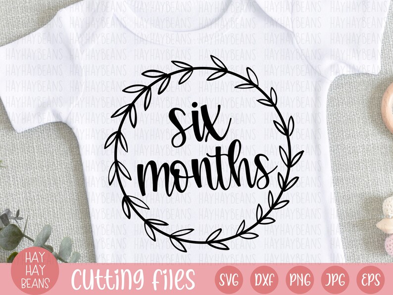 Six Months Svg | Baby Milestones Svg | Baby Svg | Sixth Month Svg | 6th ...