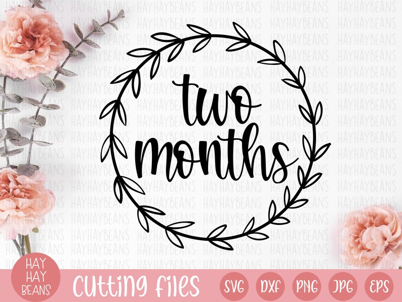 Two Months Svg Baby Milestones Svg Baby Svg Second Month - Etsy