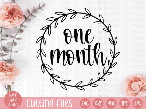 One Month Svg Baby Milestones Svg Baby Svg First Month | Etsy