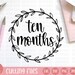 Ten Months Svg | Baby Milestones Svg | Baby Svg | Tenth Month Svg ...