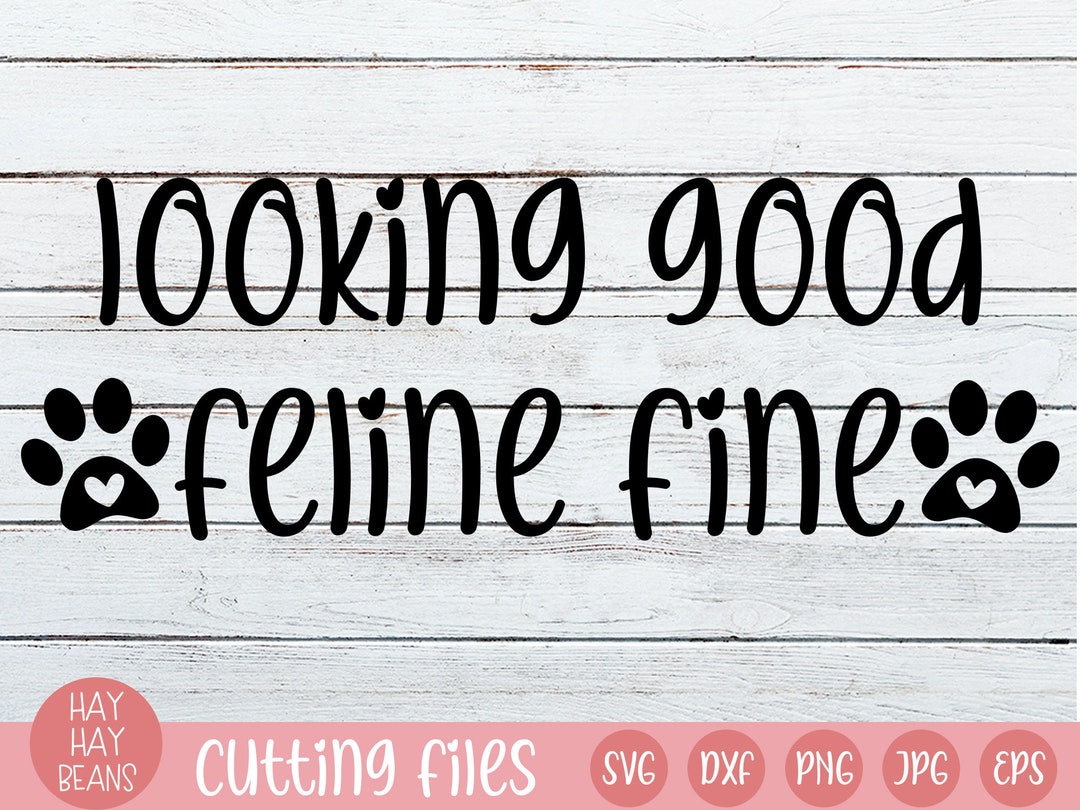 Looking Good Feline Fine Svg | Cat Svg | Feline Svg | Looking Good Svg ...