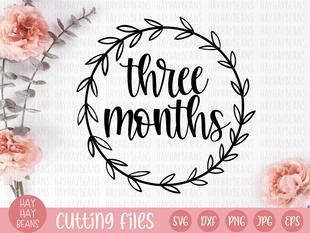 Three Months Svg | Baby Milestones Svg | Baby Svg | Third Month Svg ...