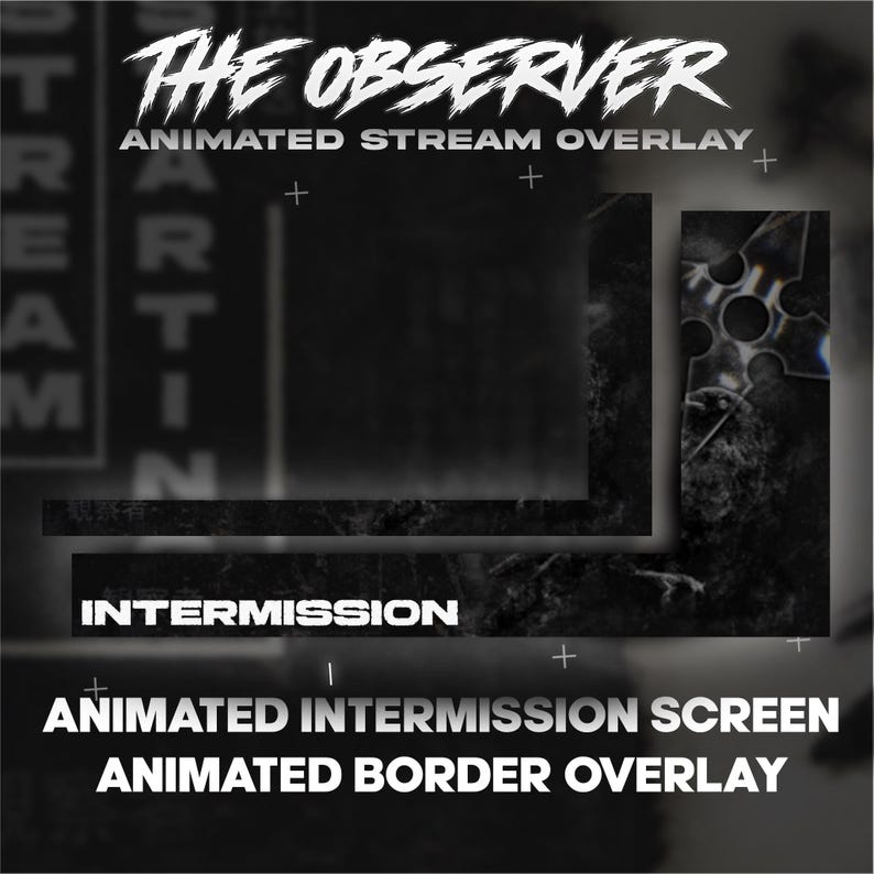 Y2K Japanese Gothic Stream Overlay: the Observer - Etsy
