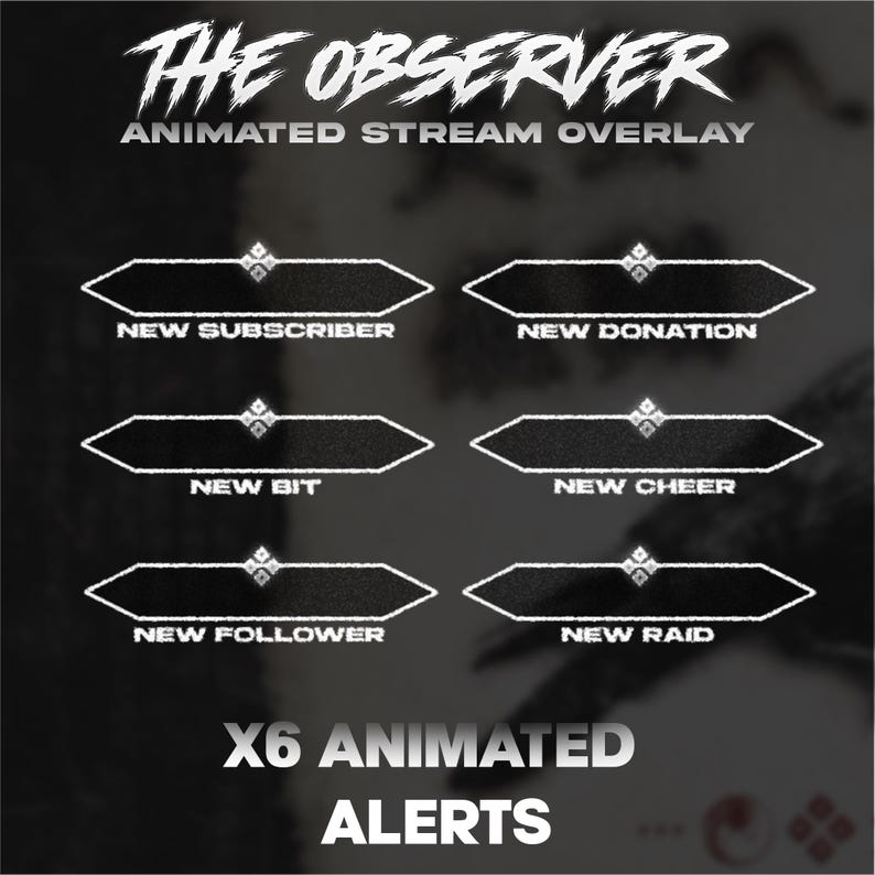 Y2K Japanese Gothic Stream Overlay: the Observer - Etsy