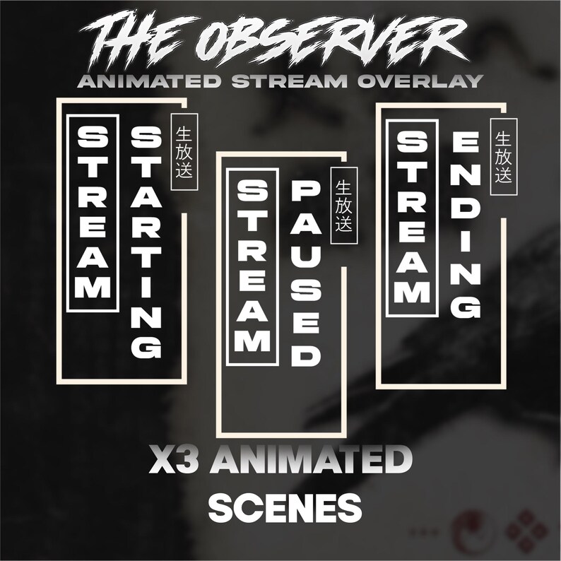 Y2K Japanese Gothic Stream Overlay: the Observer - Etsy
