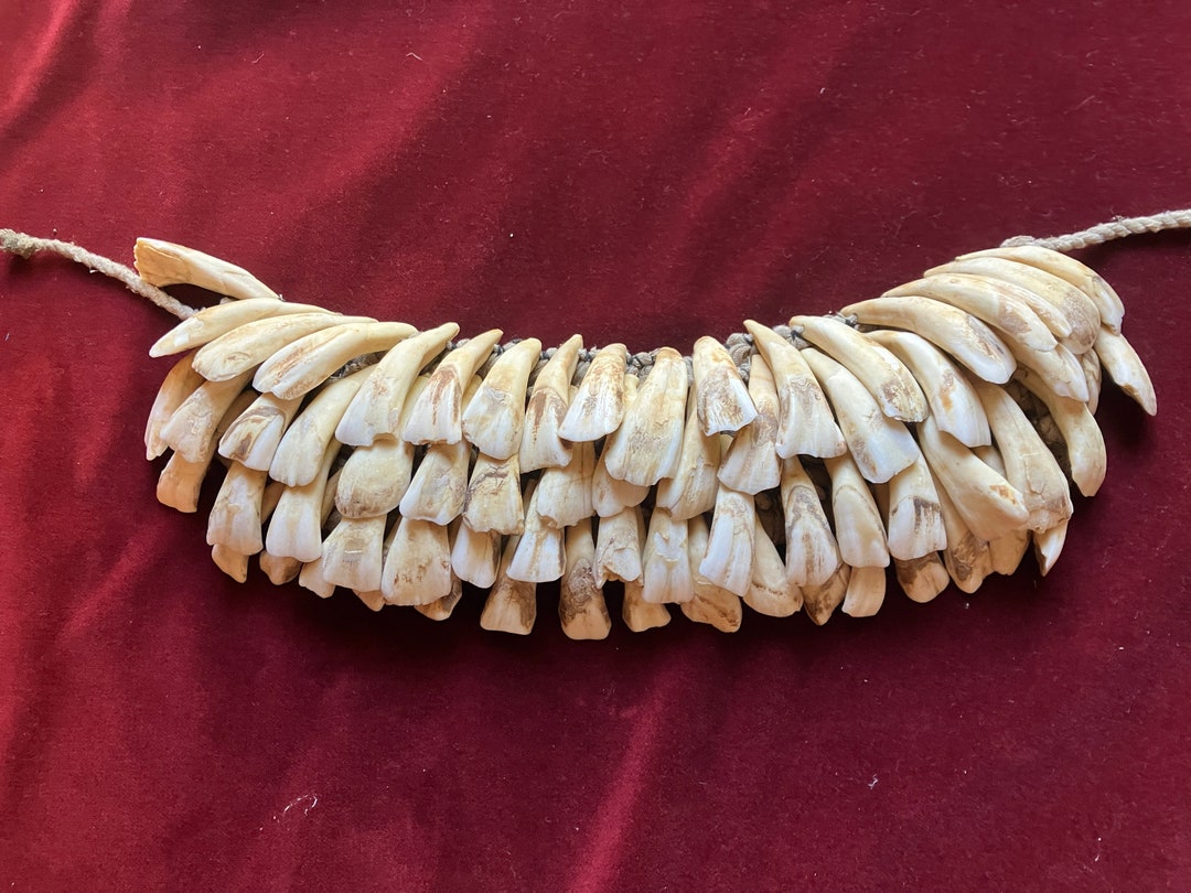 Thai Burmese Traditional Tribal Tooth Necklace 528. FREE Shipping in ...