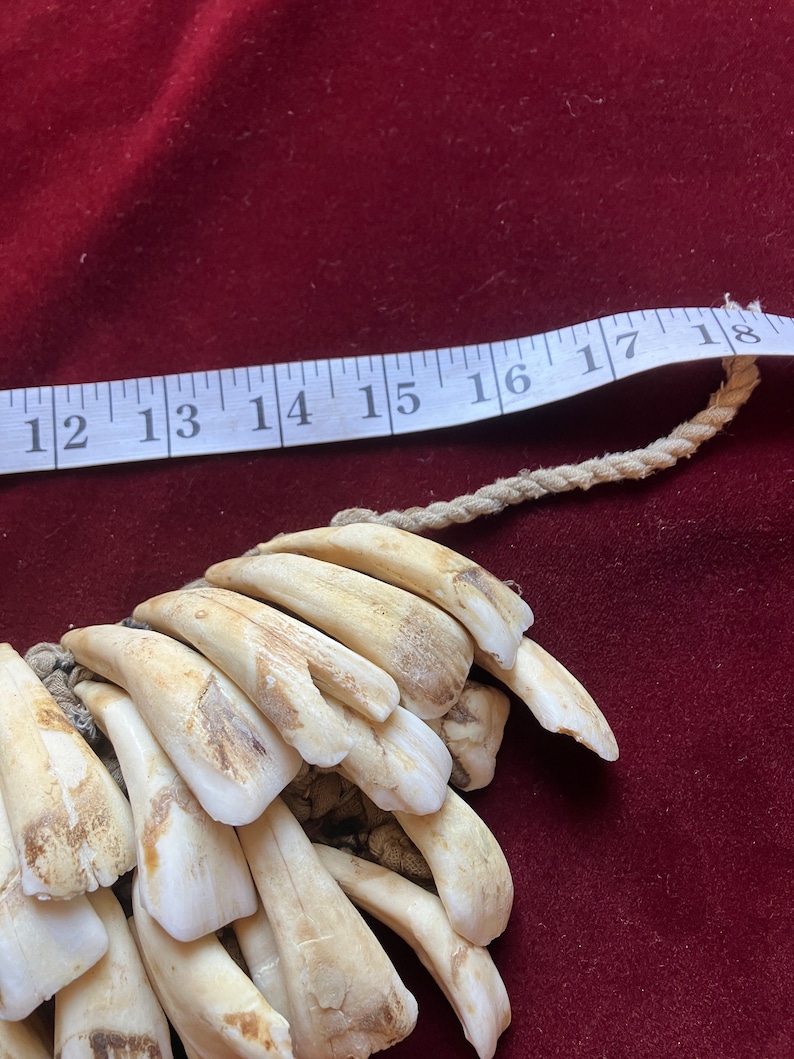 Thai Burmese Traditional Tribal Tooth Necklace 528. FREE Shipping in ...