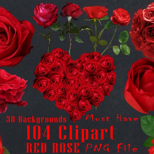 ROSES Overlays PNG Flowers Rose Overlay Photoshop - Etsy